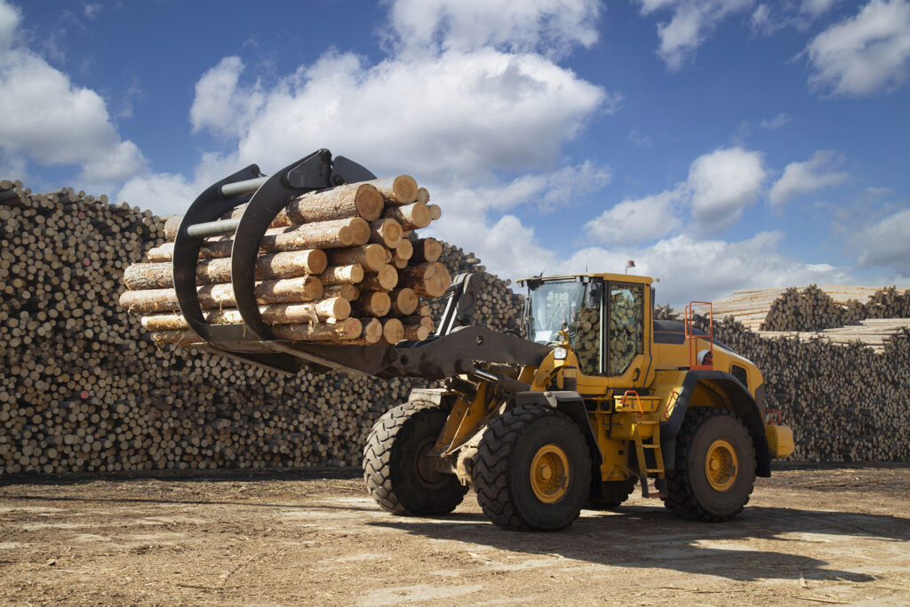 Forestry Industry | Evolution Motion Solutions
